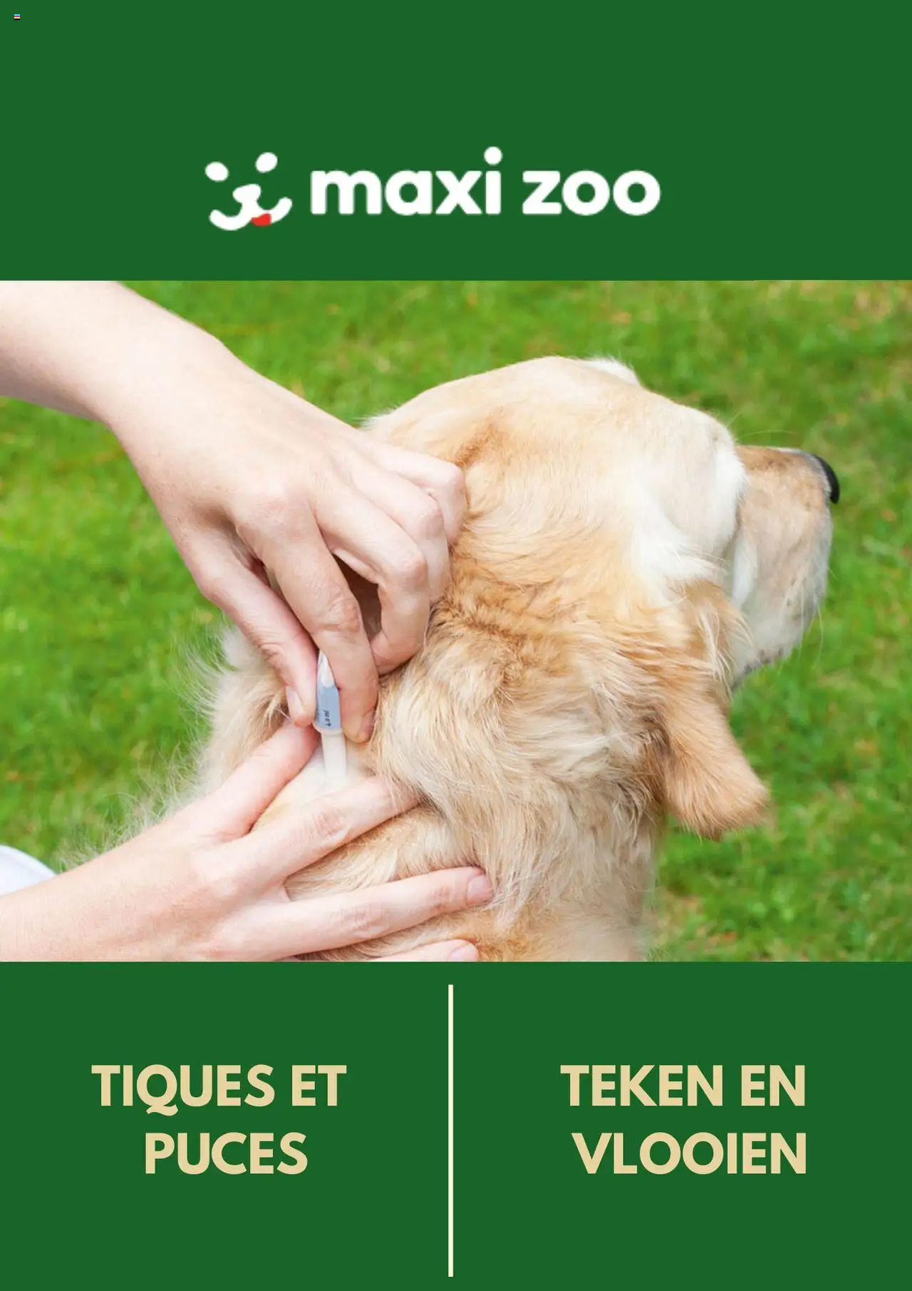Maxi Zoo folder vanaf maandag 07/04 volgende week >> België