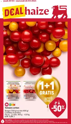 Delhaize folder 20/03/2025 semaine prochaine » Belgique