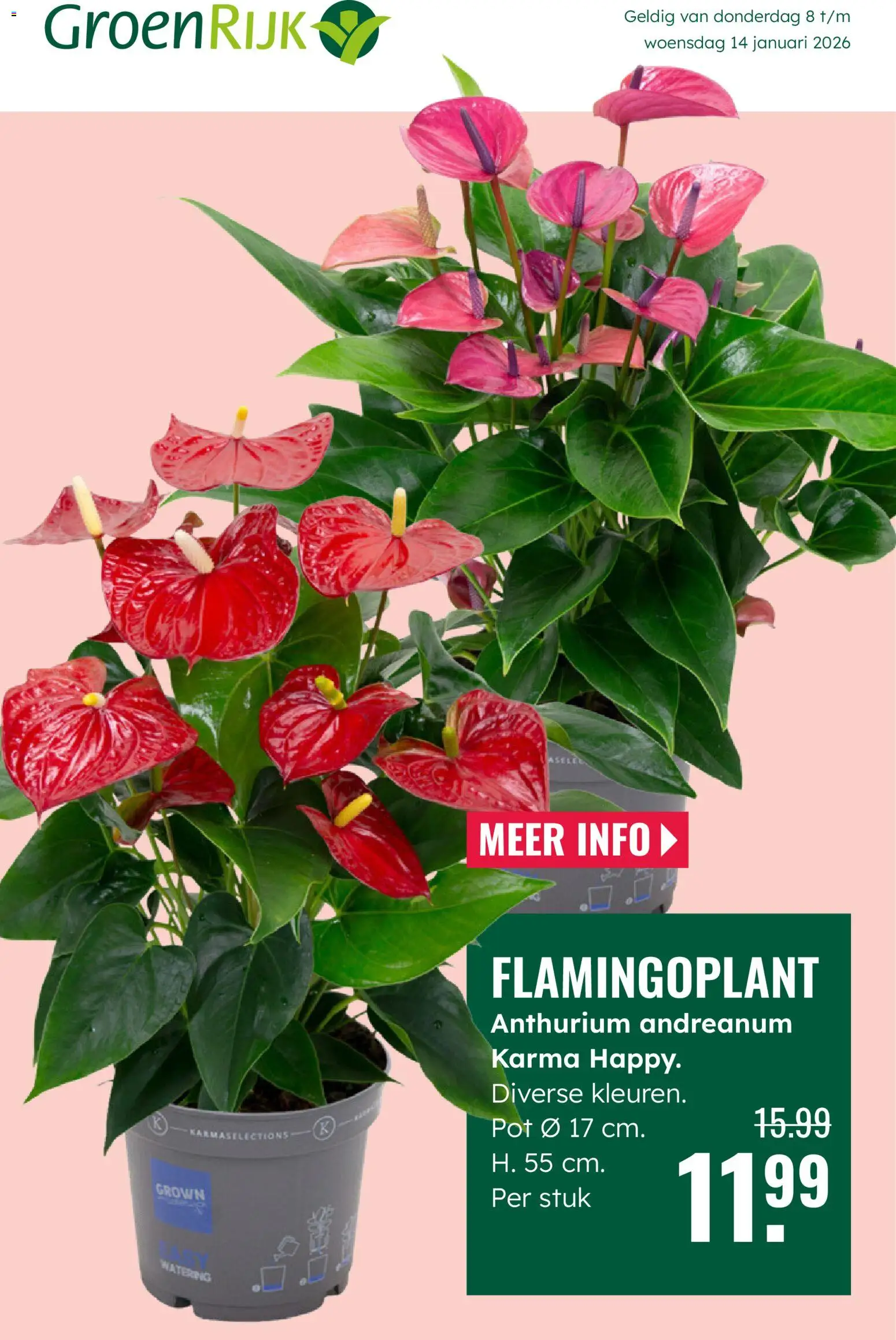 GroenRijk Folder vanaf 03-01-2026