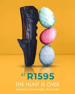 Spitz specials June 2025 > Catalogue